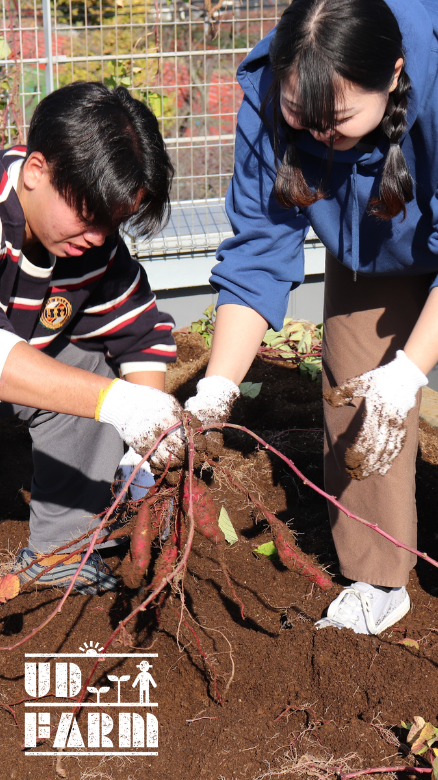 UD FARM活動記録 vol.3 | DINING SERVICE DESIGN LAB | 千葉商科大学