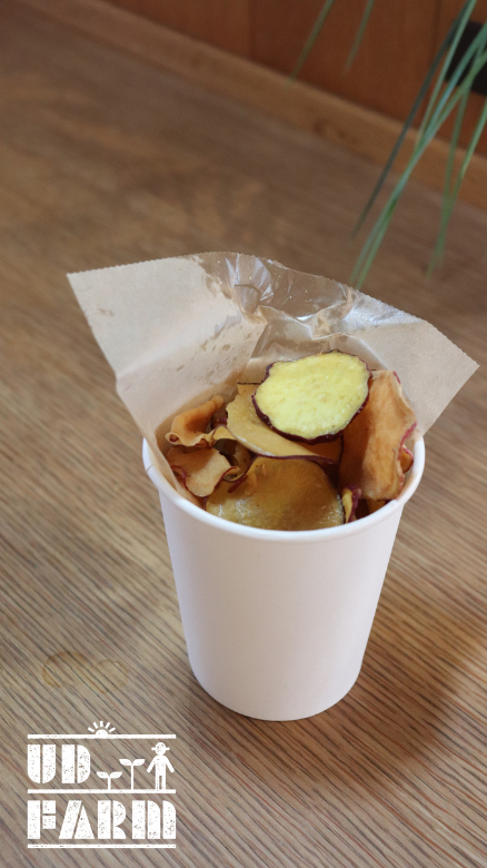 UD FARM活動記録 vol.4 | DINING SERVICE DESIGN LAB | 千葉商科大学