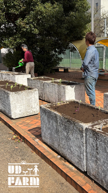 UD FARM活動記録 vol.8 | DINING SERVICE DESIGN LAB | 千葉商科大学